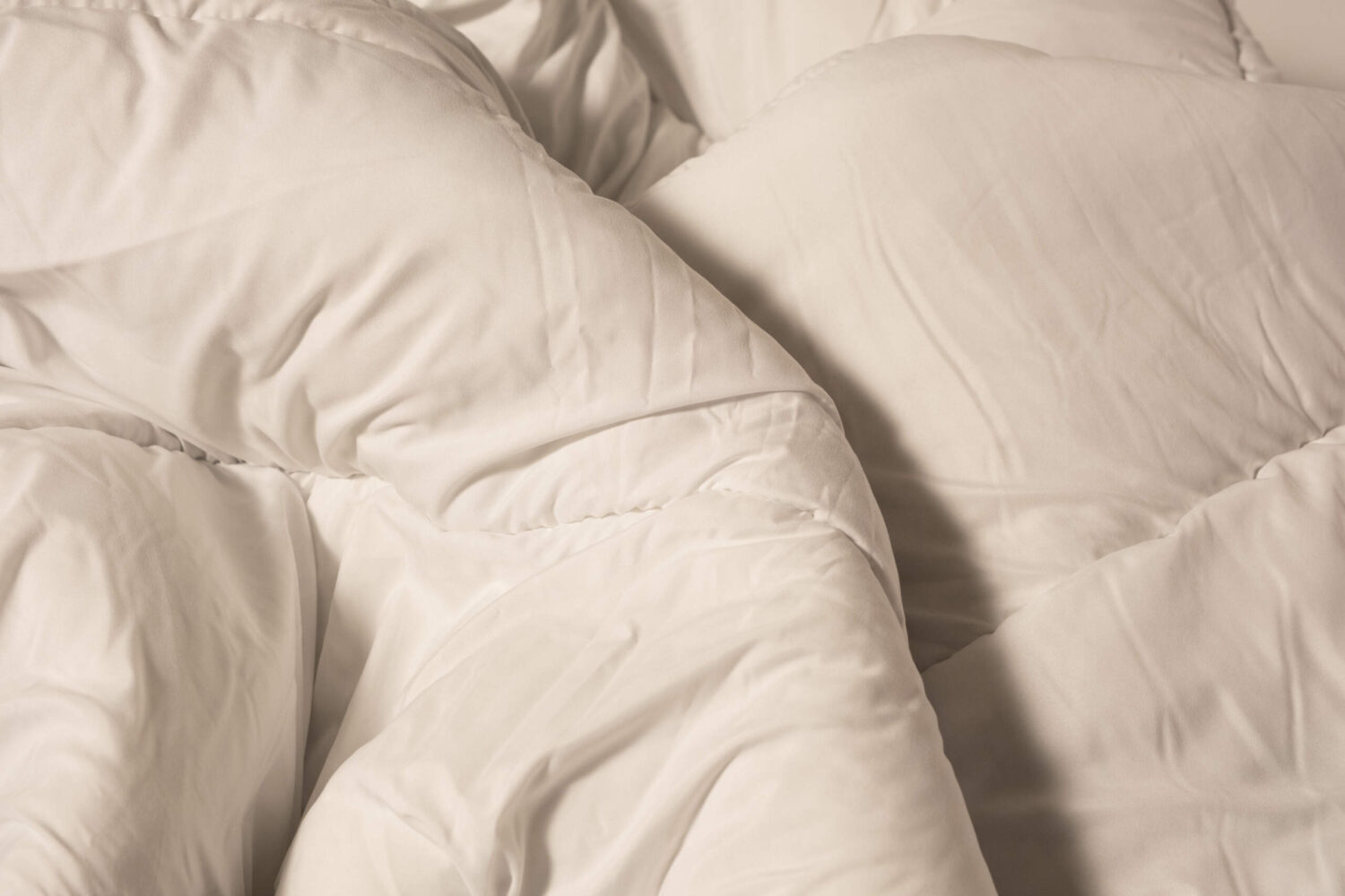 Back's diary - Technisom